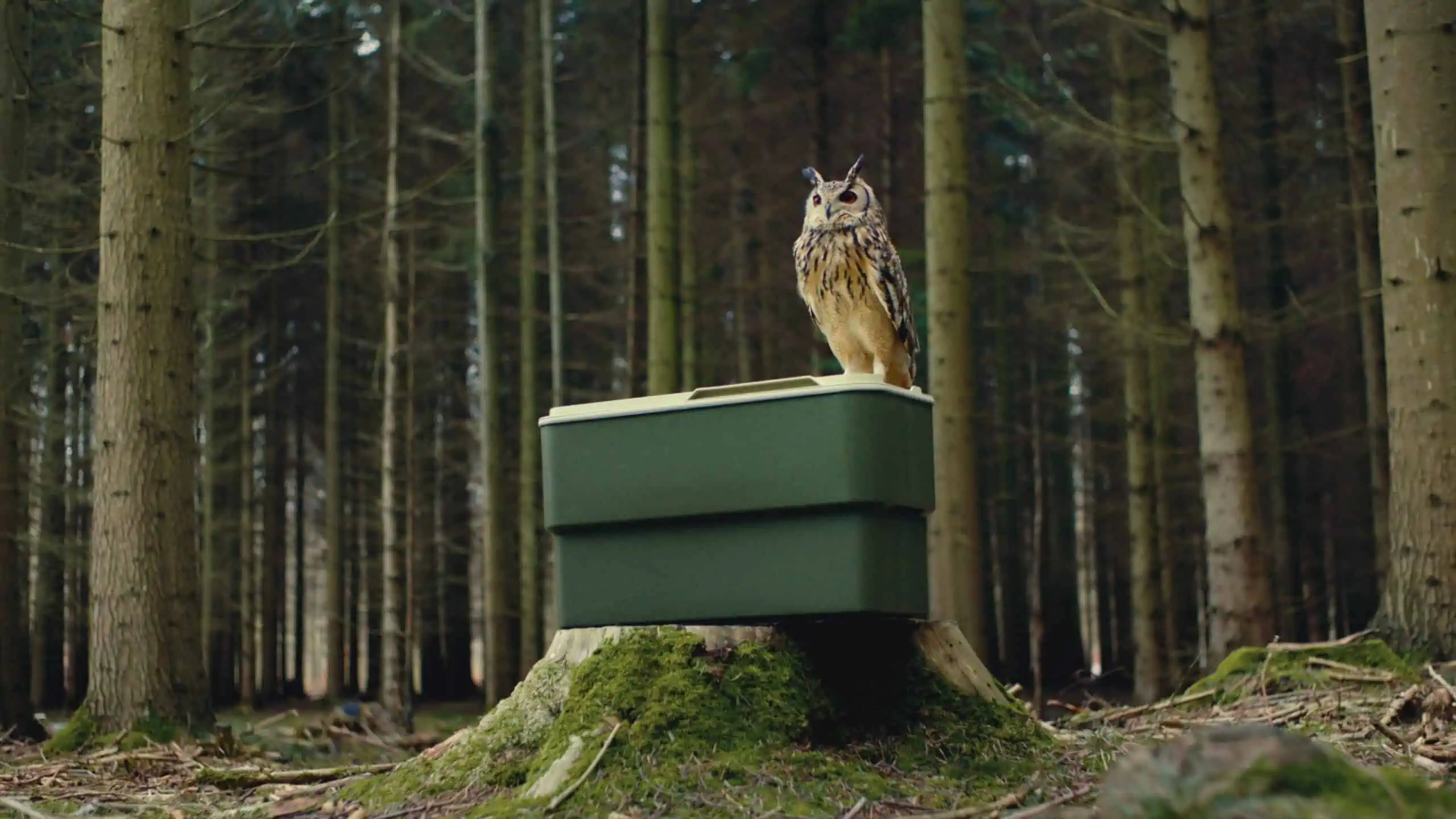 Cirqle: reusable packaging examples for the food industry